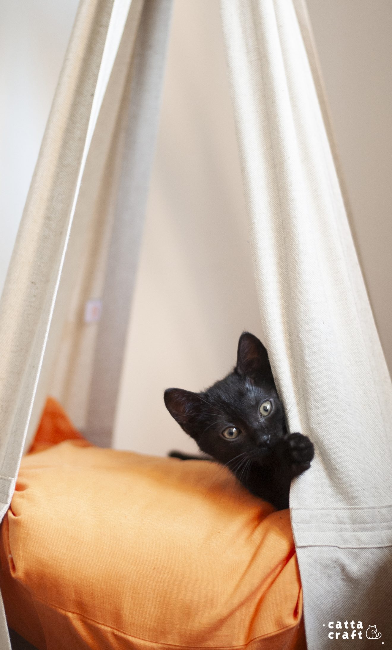 The Double Cat Swing - Cattacraft - Cozy Fun for Two Cats!