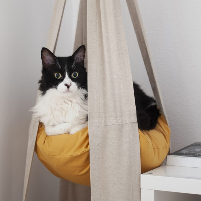 The Double Cat Swing - Cattacraft - Cozy Fun for Two Cats!