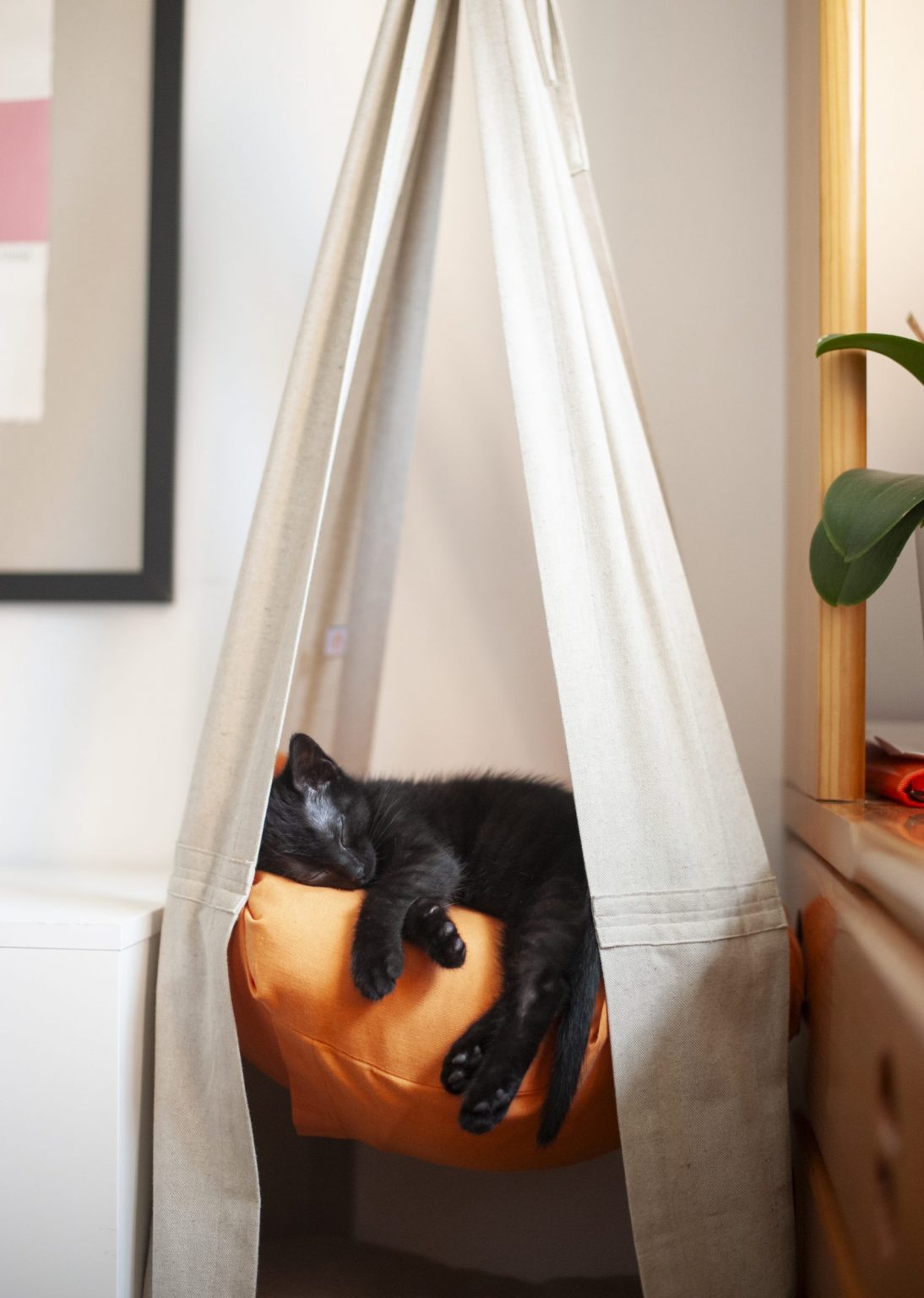 The Double Cat Swing - Meet the star of our collection